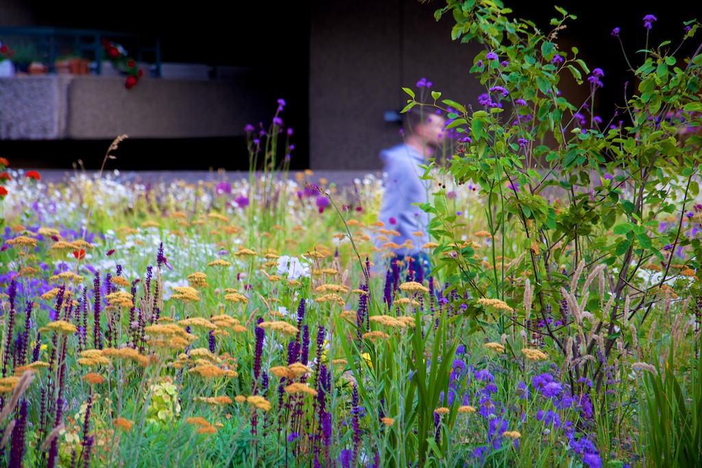 Nigel Dunnett | From Grey to Green | Design West