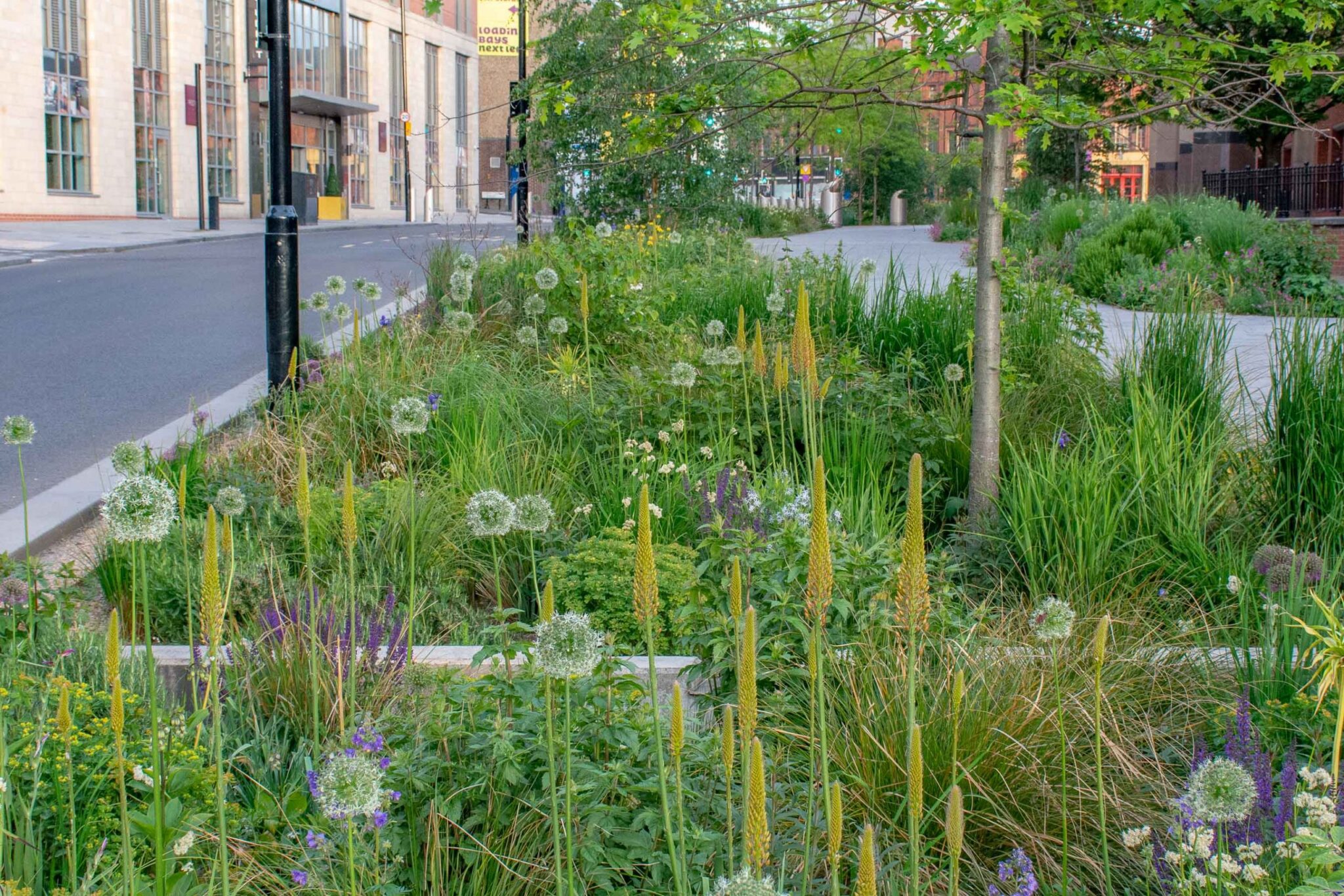 Nigel Dunnett: From Grey to Green | Design West