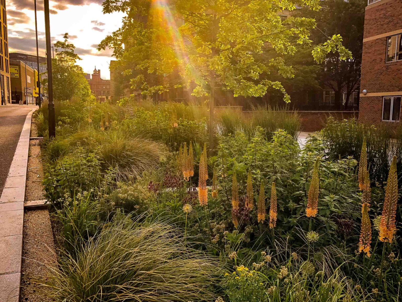 Nigel Dunnett | From Grey to Green | Design West