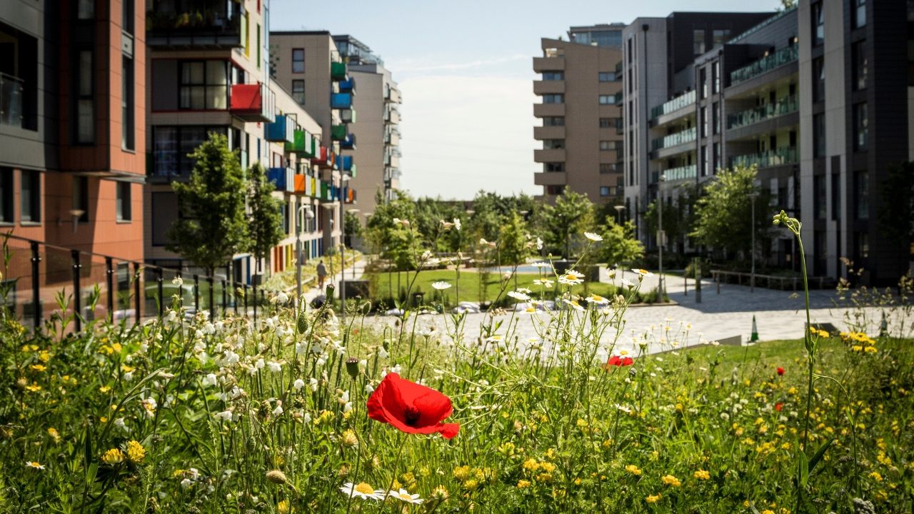 Interview | David Rudlin, Director of Urban Design at BDP | Design West